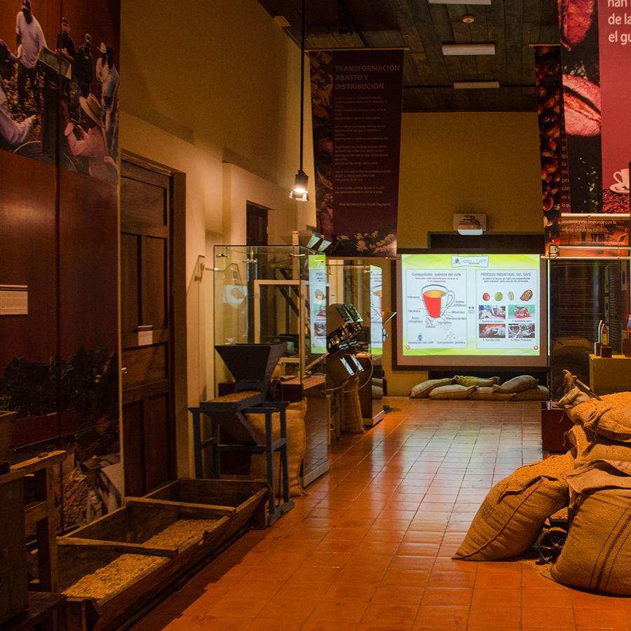 Museo del Café de Chiapas | 101 Museos