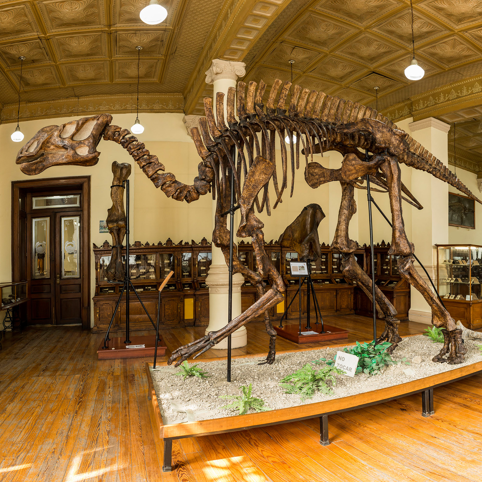 Museo del Instituto de Geología de la UNAM | 101 Museos