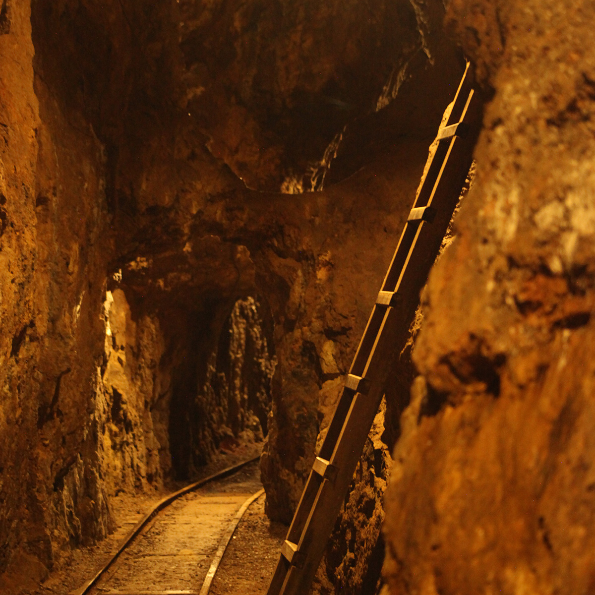 Museo Mina la Prieta | 101 Museos