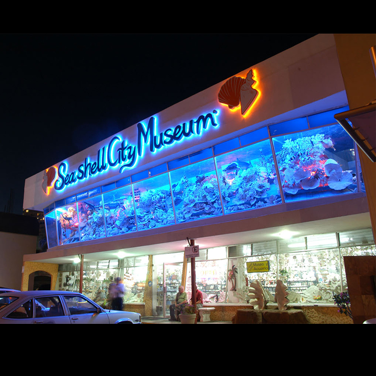 Sea Shell City Museum, Museo de Conchas | 101 Museos